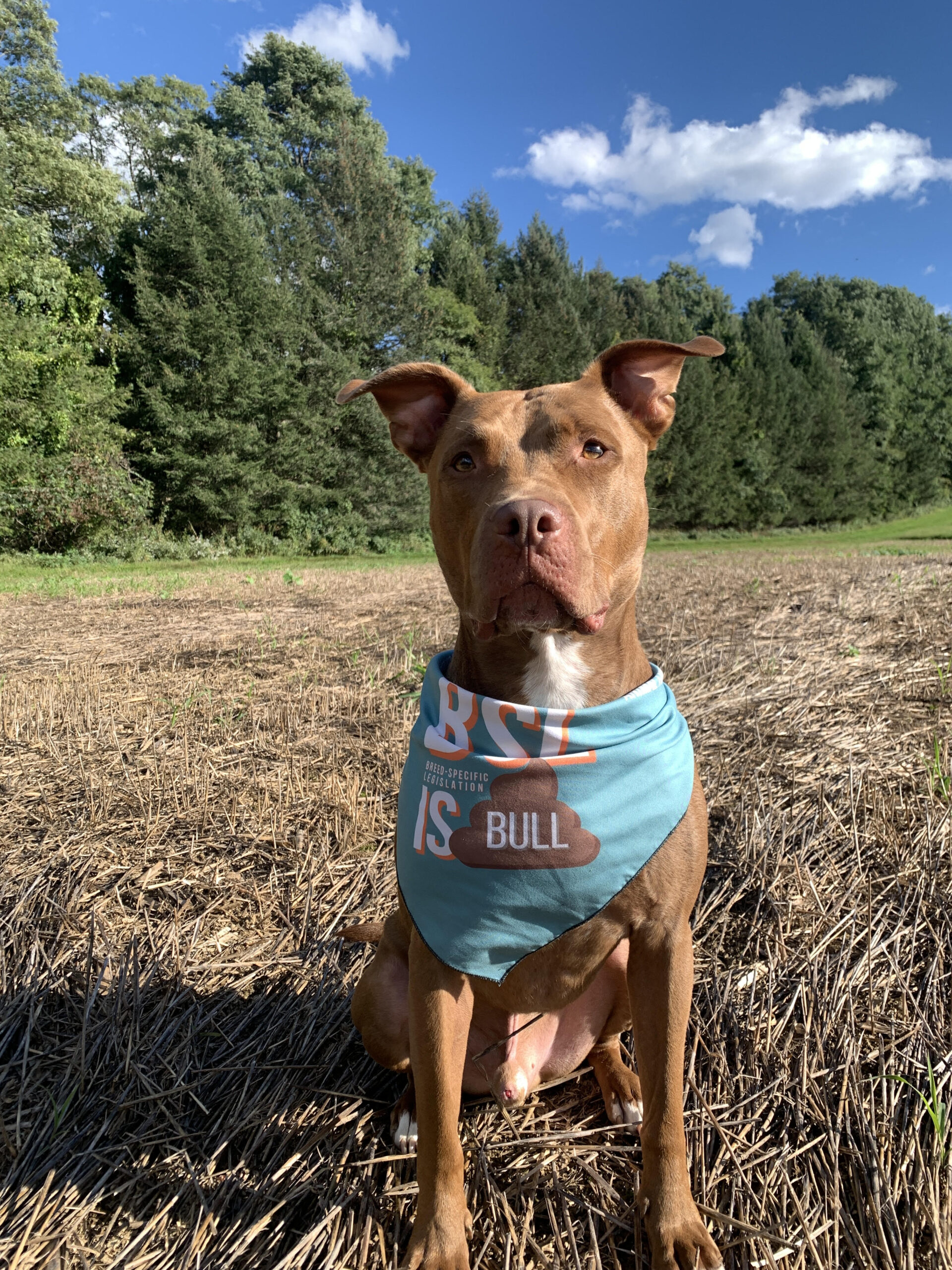 BSL MAP - National Canine Research Council