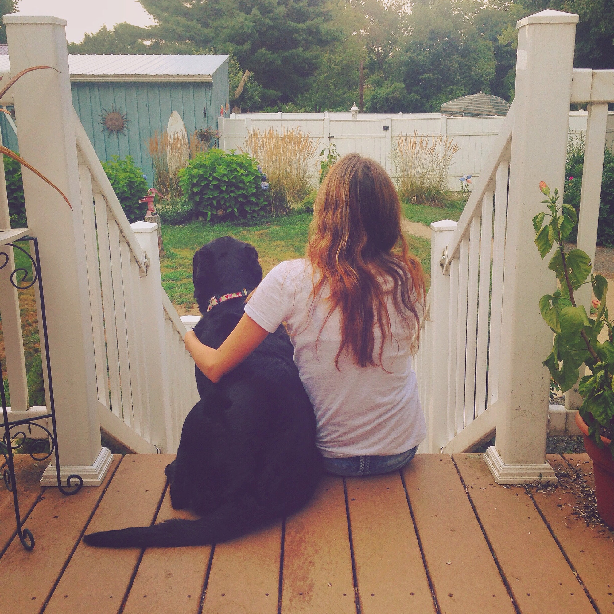 Sioux City - National Canine Research Council