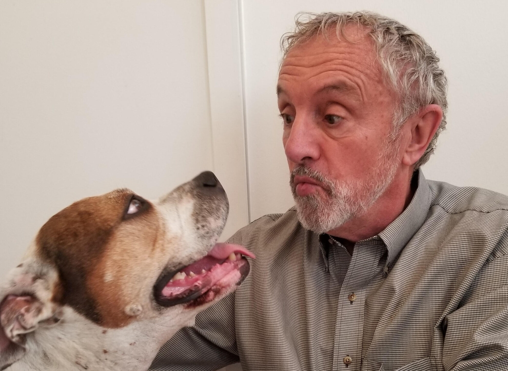 National Canine Research Council - Home - National Canine Research Council