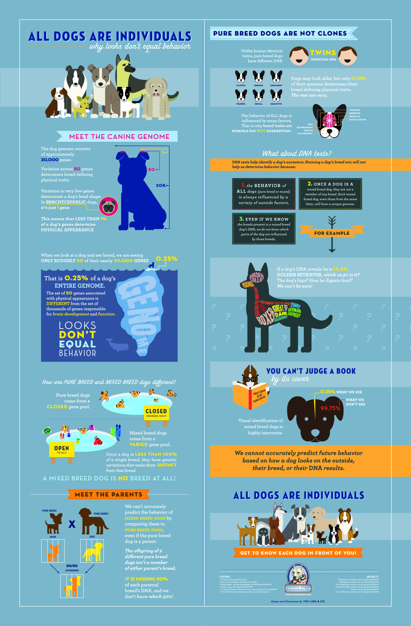 Visual Breed Identification - National Canine Research Council