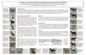 Visual Breed Identification - National Canine Research Council