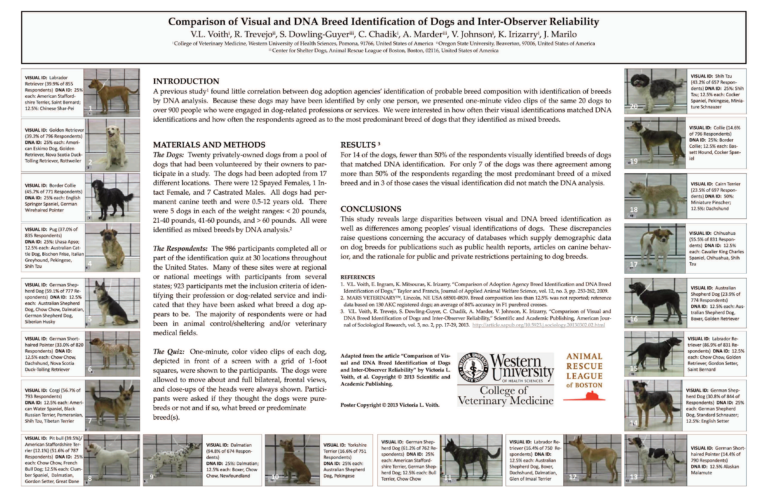 Visual Breed Identification - National Canine Research Council