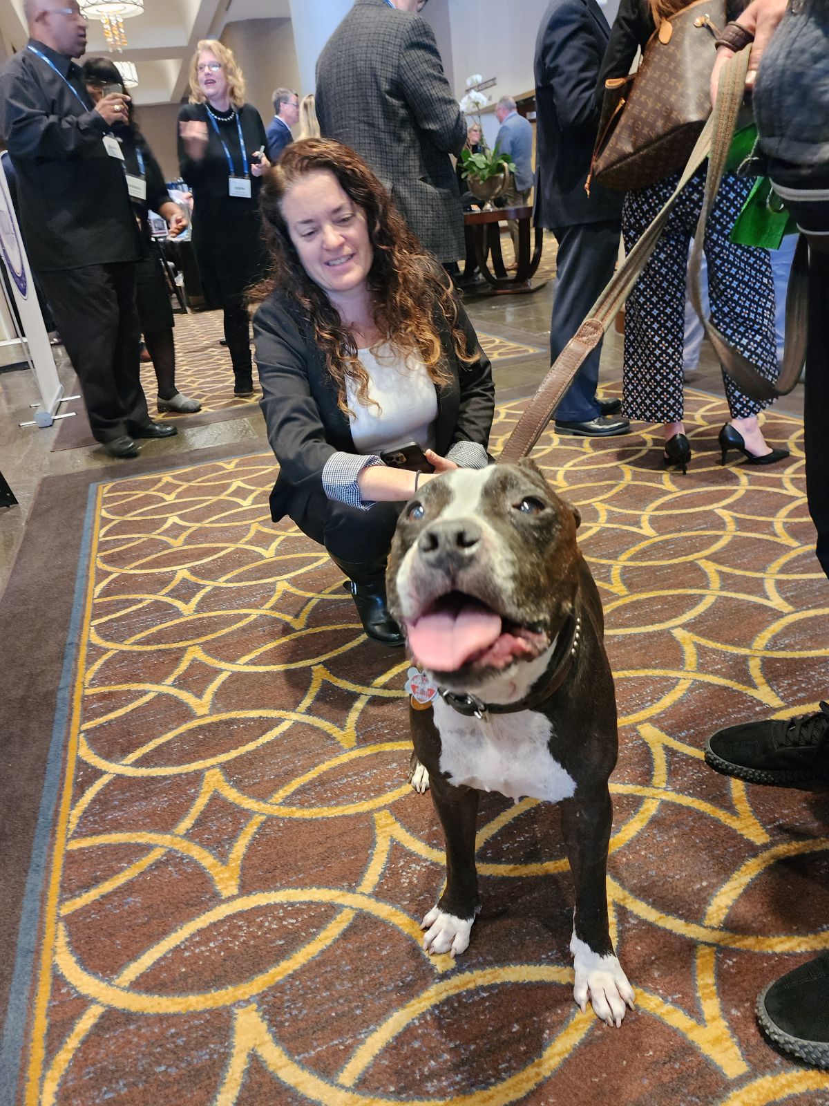 Home Insurance Legislators Unanimously Agree to Put Science Ahead of ...