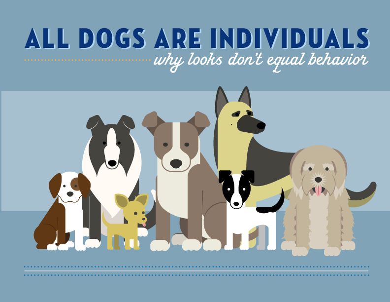 Canine Genome Infographic - National Canine Research Council