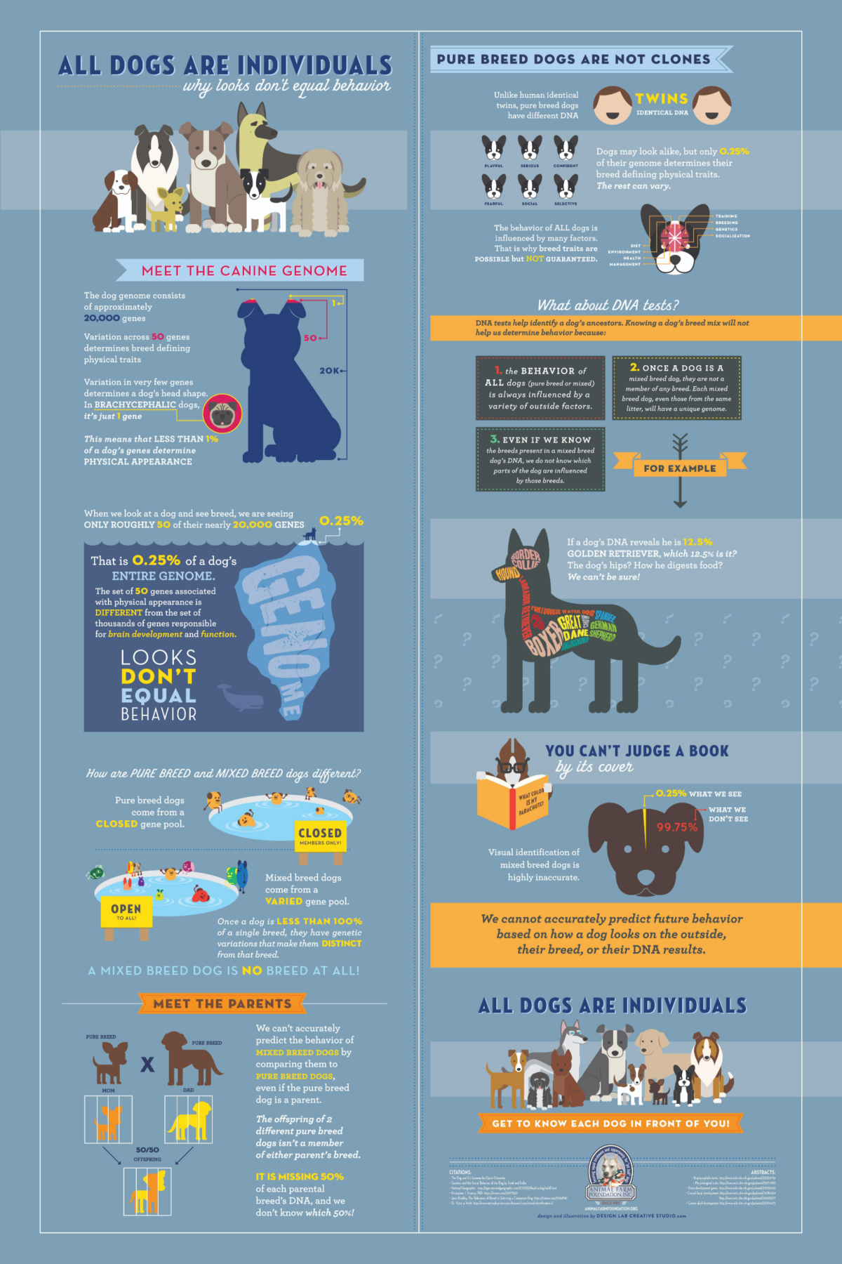 Canine Genome Infographic - National Canine Research Council
