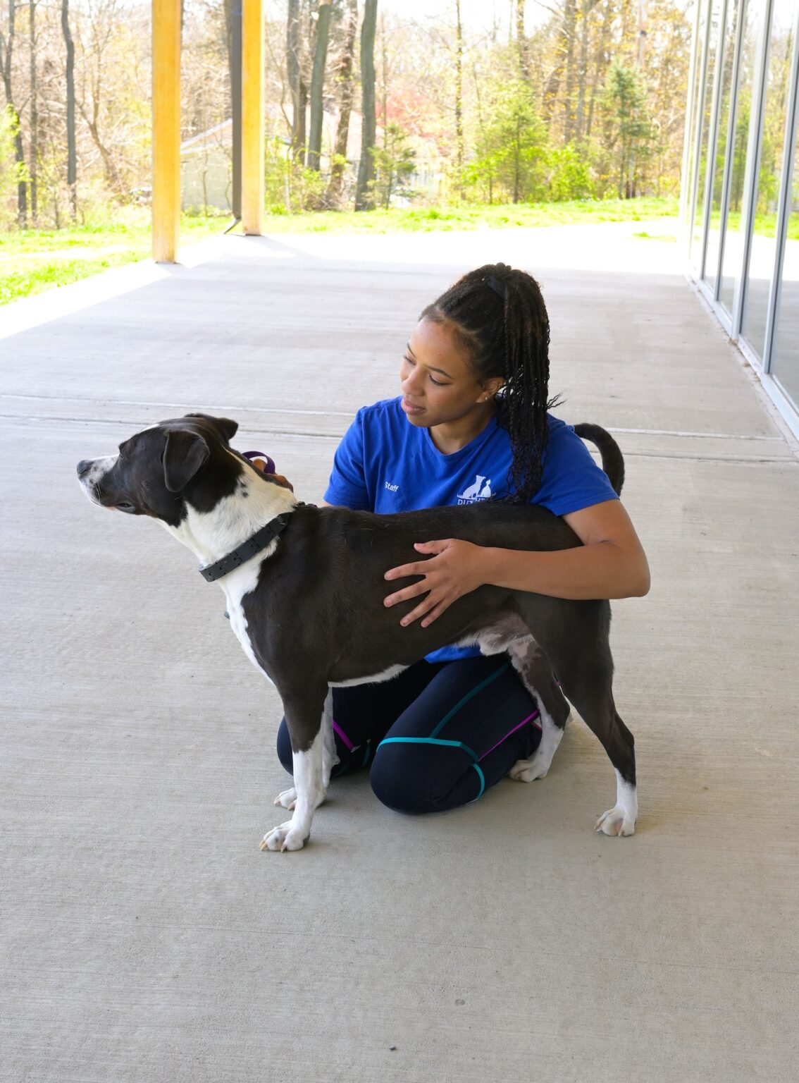 Dog Behavior in Animal Shelters - National Canine Research Council